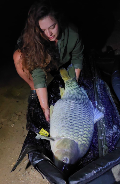Fencl Carp Premium landing net test - Fishing on the dam